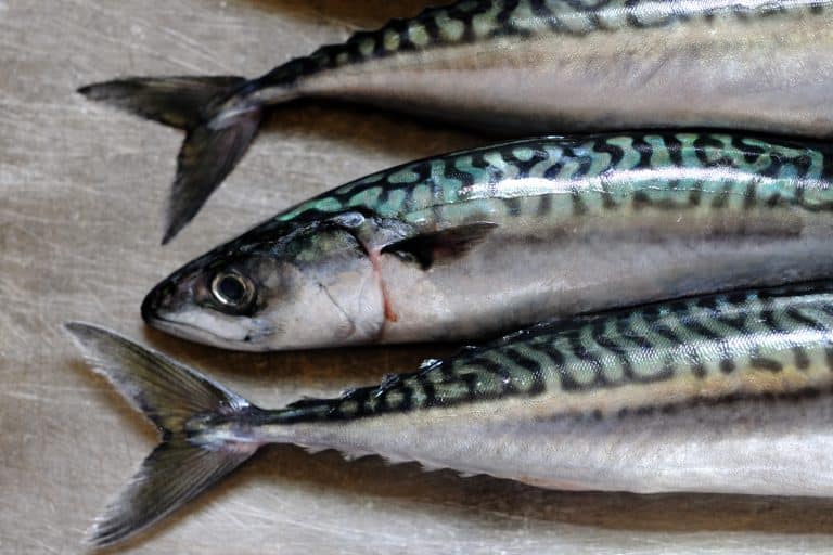 29 Delicious Gray Foods to Savour Around the World - Mothers Always Right