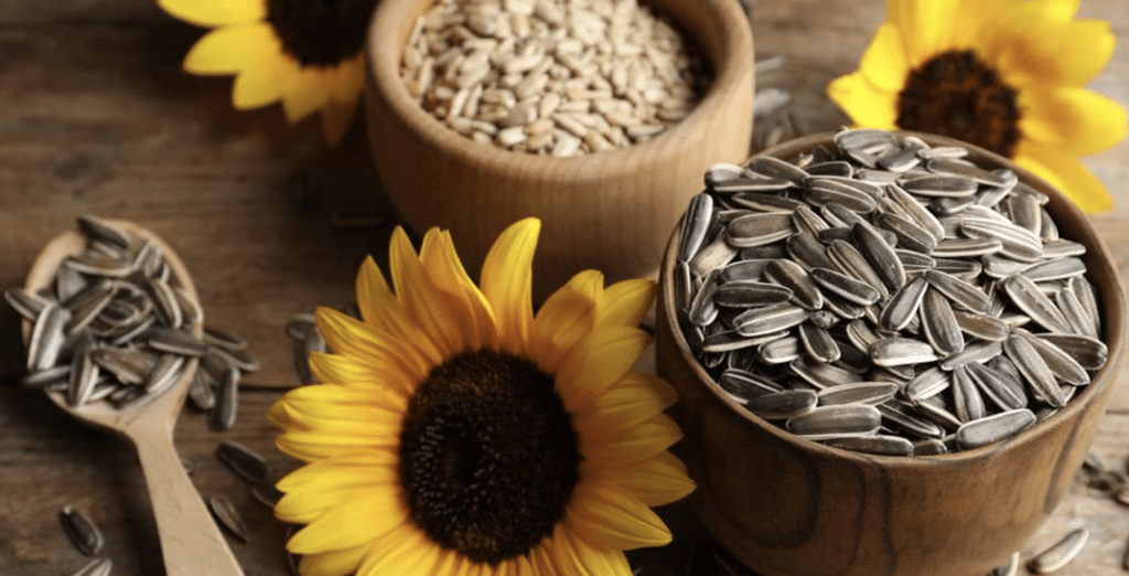 29 Delicious Gray Foods to Savour Around the World - Mothers Always Right