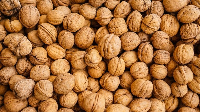 40 Brown Food Varieties to Explore - Mothers Always Right