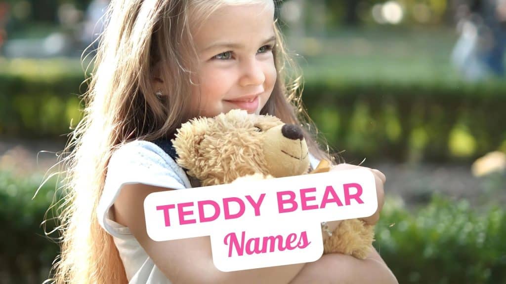 350 Adorable Teddy Bear Names for Your Cuddly Companion - Mothers ...