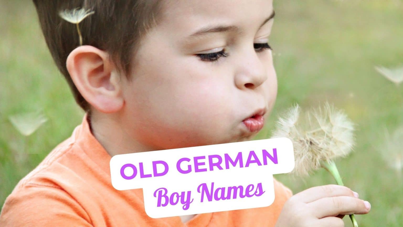 240 Unique Old German Male Names and Their Meanings - Mothers Always Right