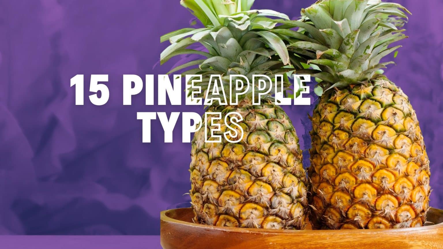 15 Fascinating Pineapple Types from Around the World - Mothers Always Right