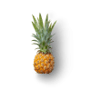15 Fascinating Pineapple Types from Around the World - Mothers Always Right