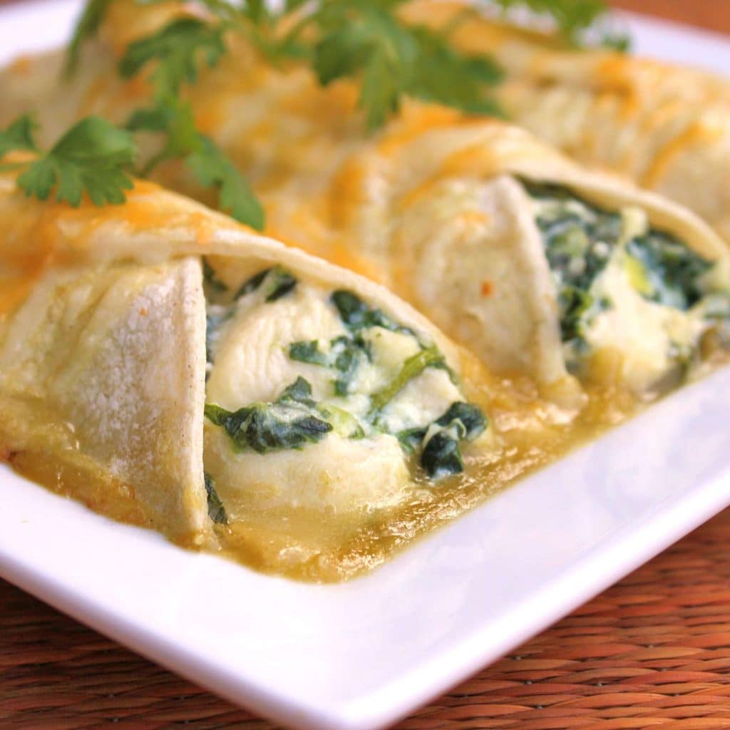 20 Delicious Types of Enchiladas to Try - Mothers Always Right