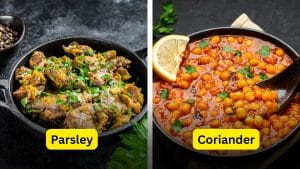 What are the Main Differences Between Parsley and Coriander? - Mothers Always Right
