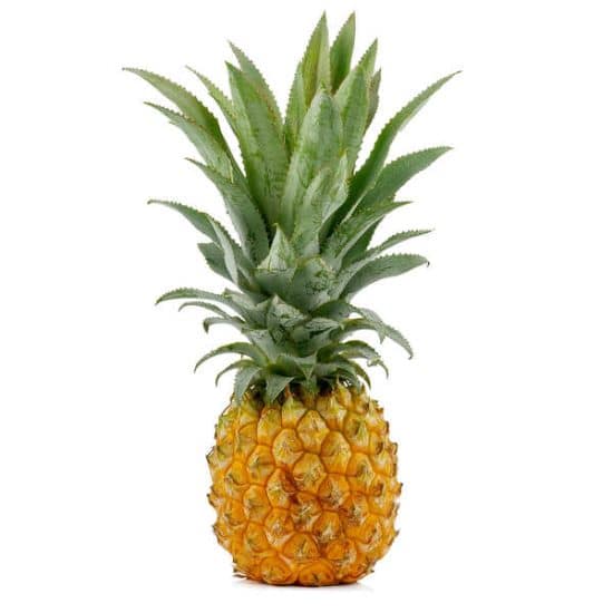 15 Fascinating Pineapple Types from Around the World - Mothers Always Right