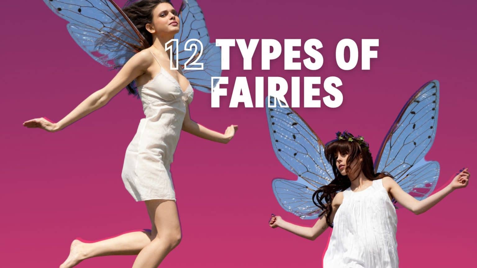 12 Types of Fairies and Their Magical Traits - Mothers Always Right