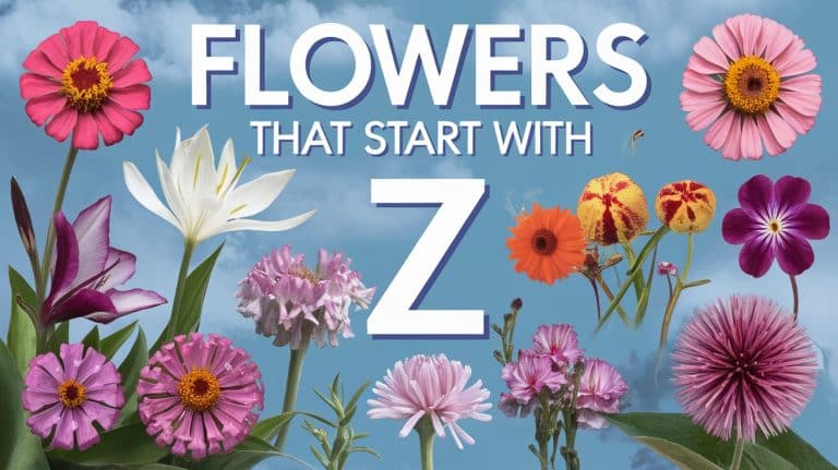 28 Beautiful Flowers That Start with Z Around the World - Mothers ...