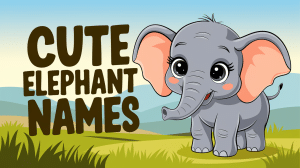 623 Cute Elephant Names with Meanings And Popularity - Mothers Always Right