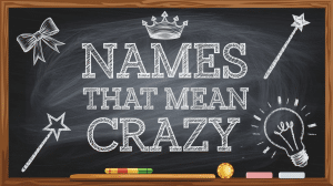 267 Quirky And Funny Names That Mean Crazy - Mothers Always Right
