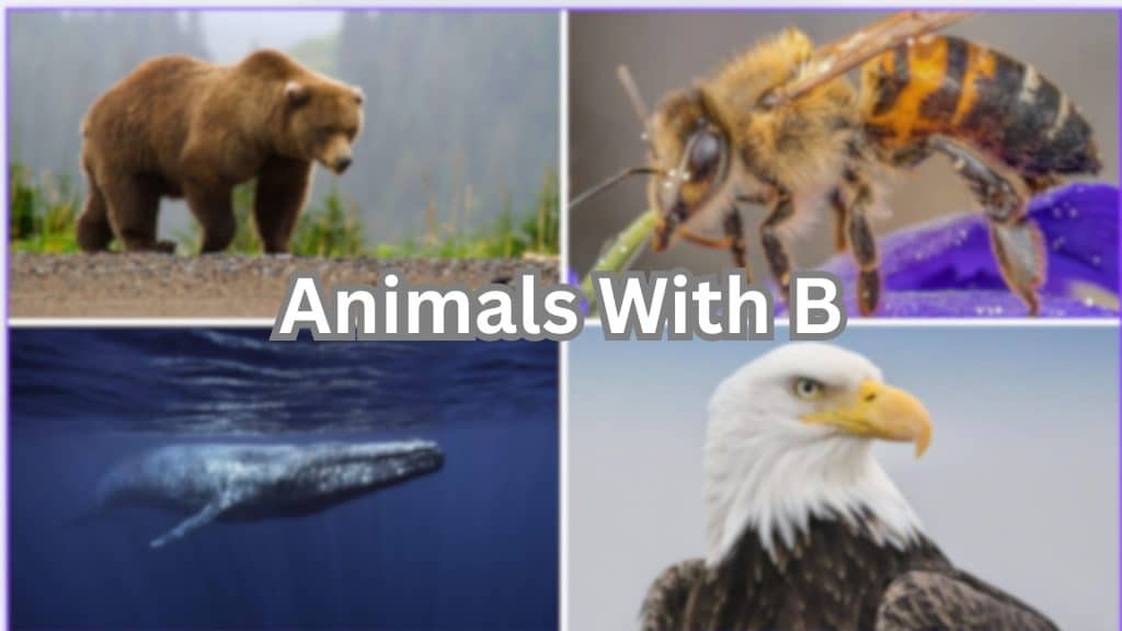 279 Animal Names that Start With The Letter "B" - Mothers Always Right