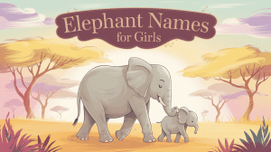 633 Elephant Names for Girls Your Daughter Will Love - Mothers Always Right