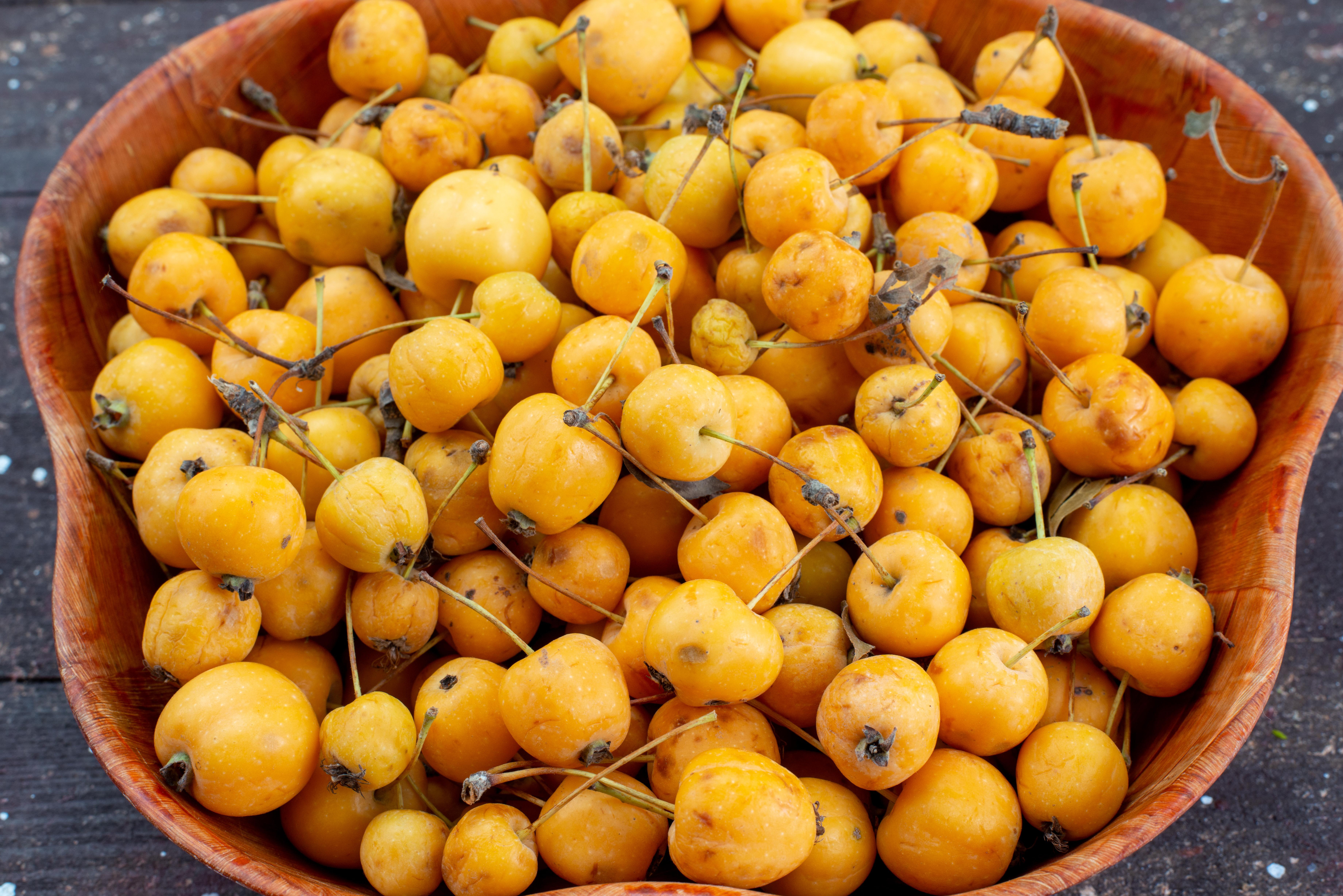 21 Fruits Starting With the Letter "N" - Mothers Always Right