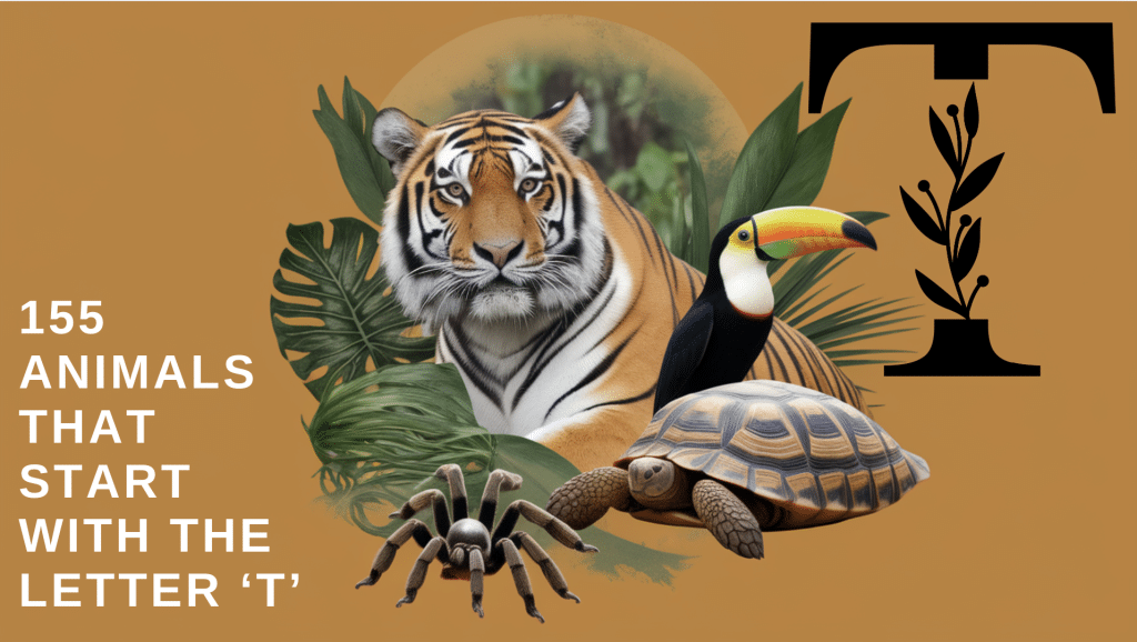 155 Animals that Start with The Letter 'T' - Mothers Always Right