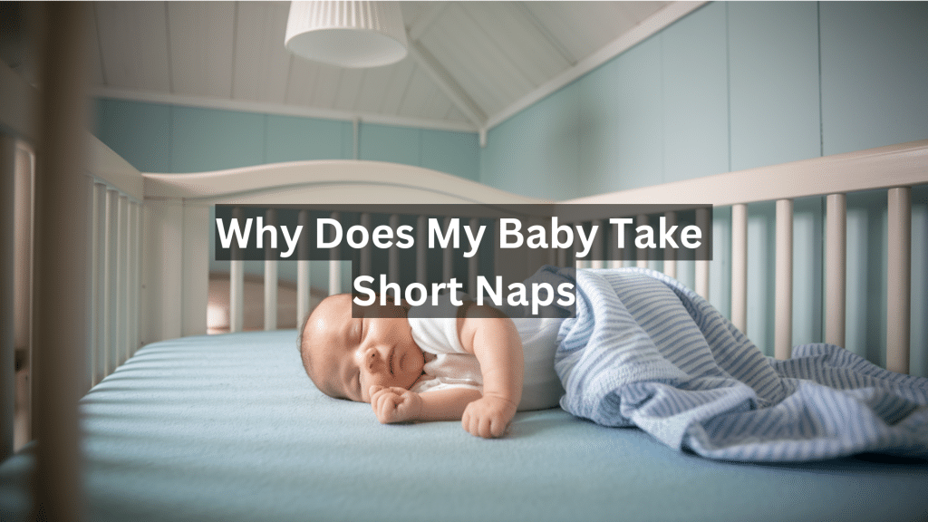 Short Baby Naps? Here’s Why and How to Help - Mothers Always Right