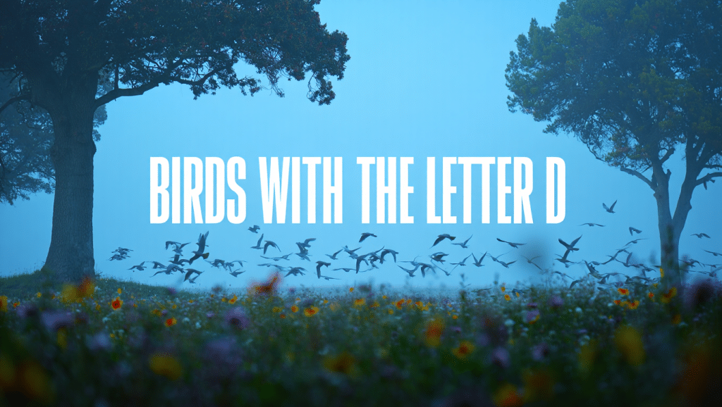213 Dazzling Birds of the World Starting with "D" - Mothers Always Right