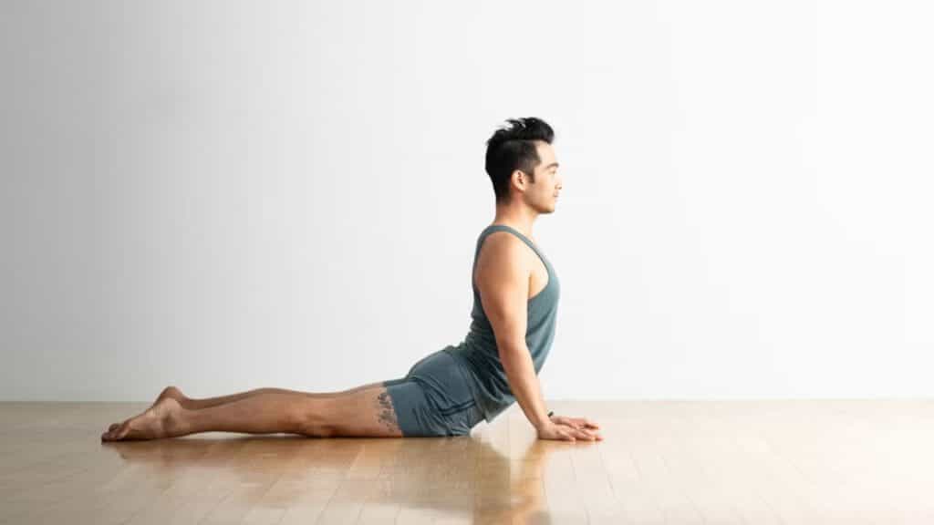 19 Posterior Pelvic Tilt Exercises for Better Posture - Mothers Always ...