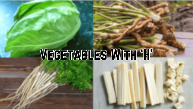 37 H-Veggies: From Household Staples to Hidden Gems - Mothers Always Right