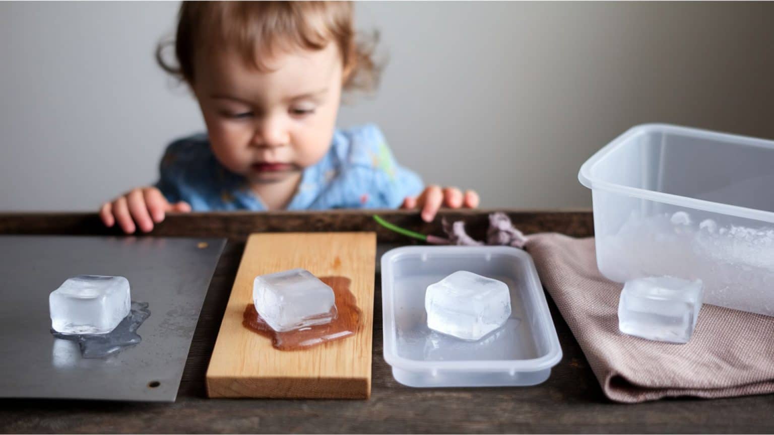 31 Easy Science Activities Toddlers Will Love - Mothers Always Right