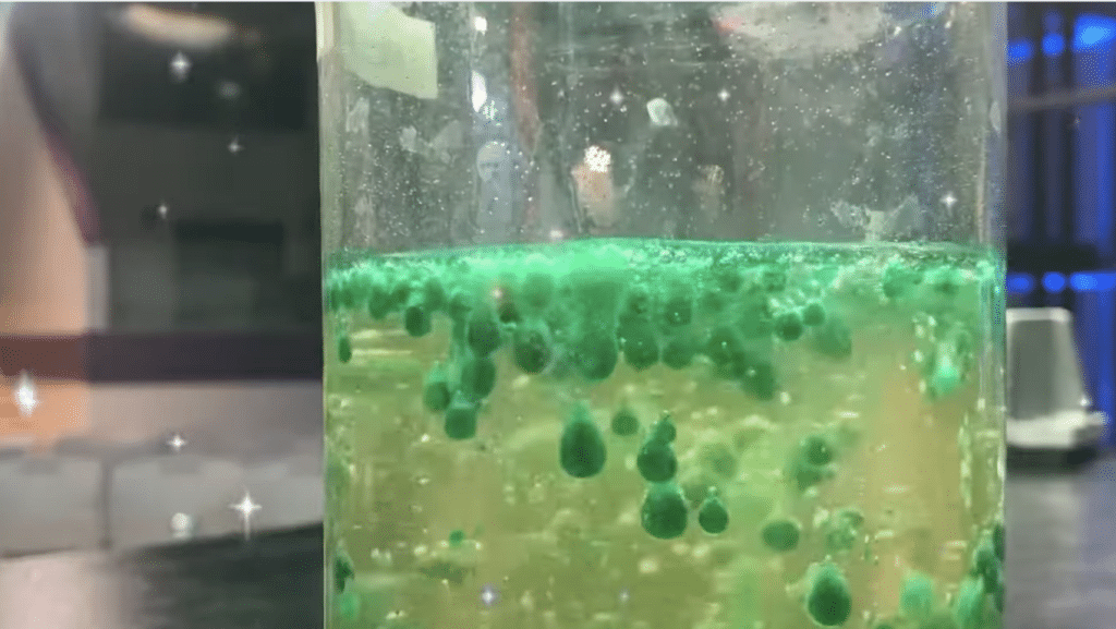 DIY Lava Lamp: A Fun Science Experiment - Mothers Always Right